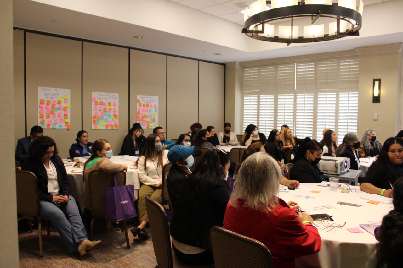 Community Health Workers (CHWs) and Promotores | San Diego County ...